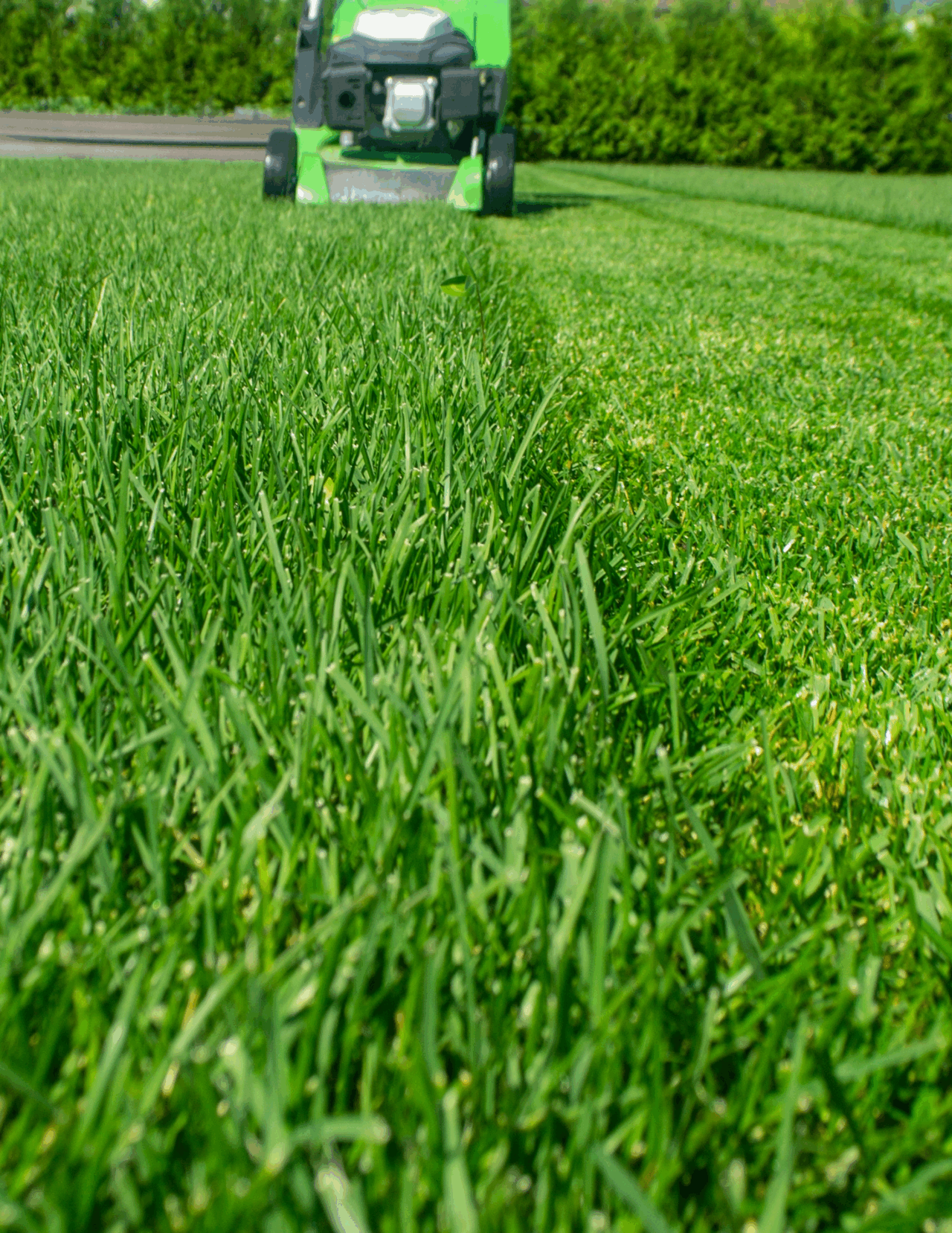 Eco-Friendly - Lapinski Design Build & Landscaping